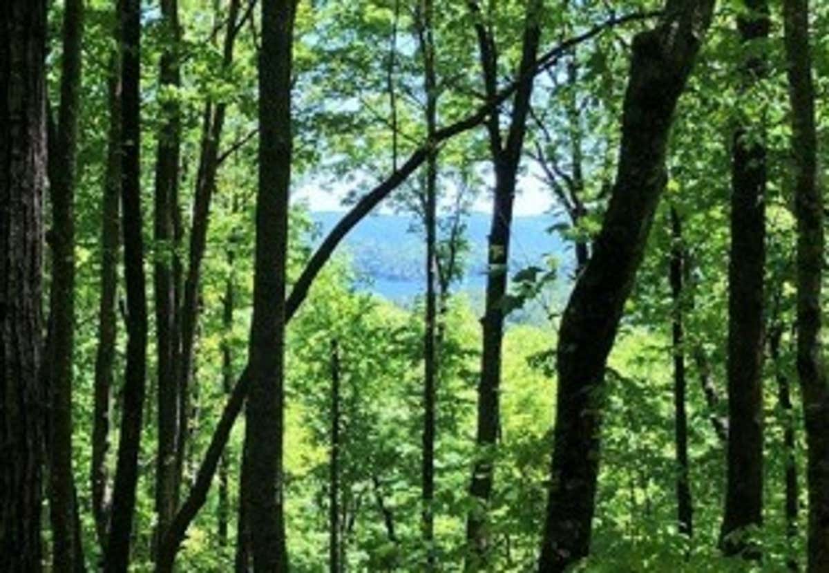 September 2021 Message from Our CEO | Columbia Forest Products